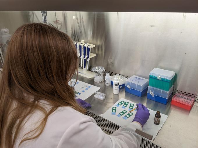 Internship Chronicles, Chapter 14: Alexis Kirkendall | inside.heidelberg.edu